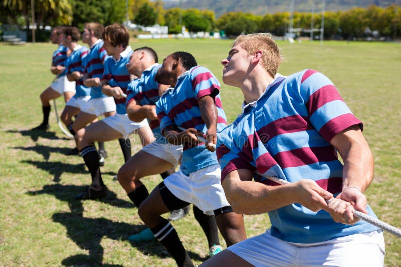 High Angle View of Rugby Player Pulling Rope Stock Photo - Image of ...