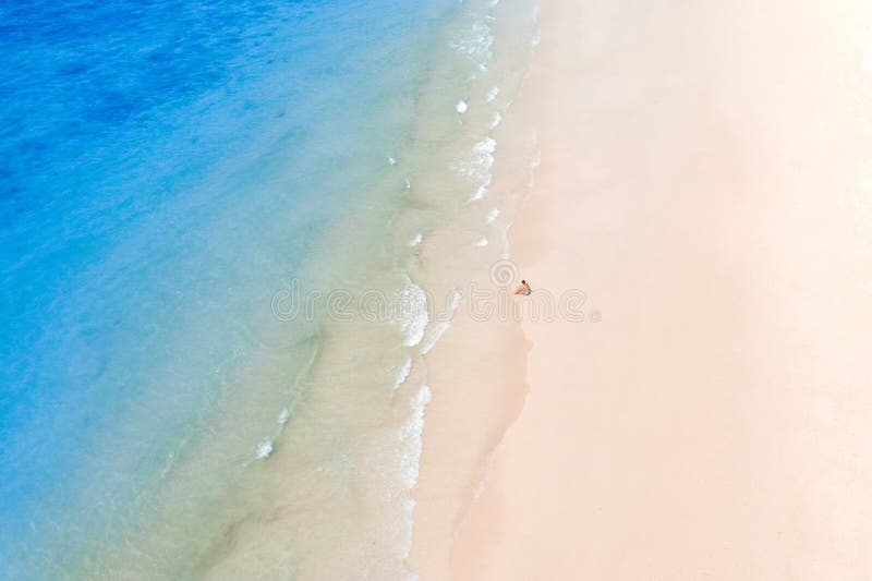 Aerial View of Beach and Sea Water Surrounded by Mountains in the ...