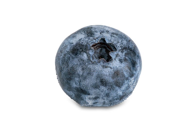 Top View of a Single Blueberry Against a White Background Stock Photo ...