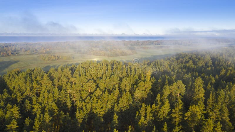 High Angle View of Soil Being Blown Off by Wind Over a Beautiful Green ...