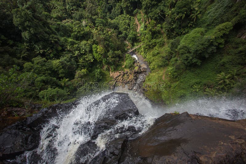 High Angle View of a Steep Streaming Waterfall in the Deciduous Forest ...