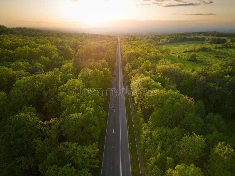 High Angle View of a Straight Road Going through the Forest at Sunset ...