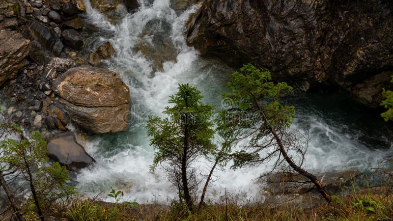 High Angle View of a Stream with Stones and Vegetation on the Shore ...