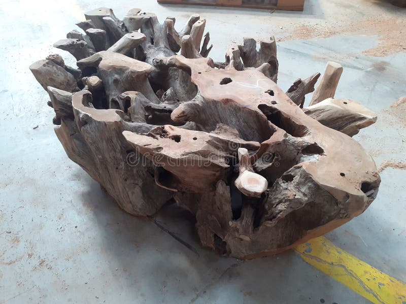 High Angle View of Teak Root on Table Stock Image - Image of tree, food ...