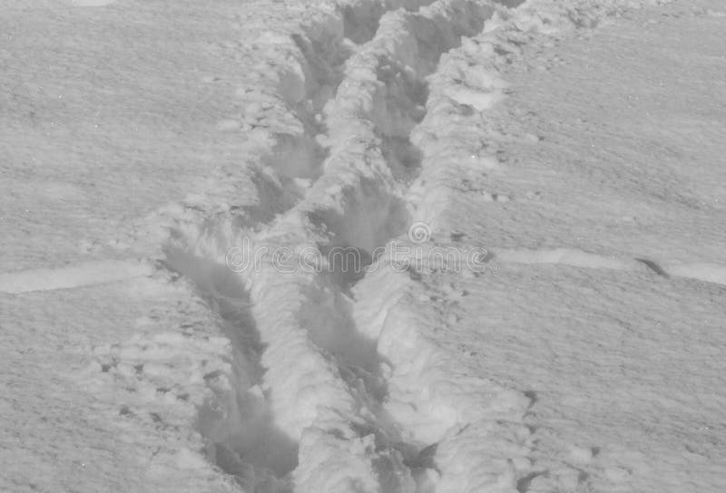 High Angle View of Tracks in Deep Snow Stock Photo - Image of field ...