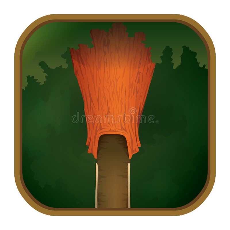 High Angle View from a Tree Top. Vector Illustration Decorative Design ...