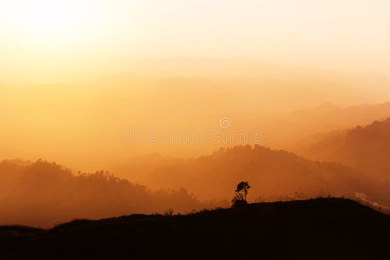 High Angle Viewpoint Over Rainforest with Layer Mountains on Sunset ...