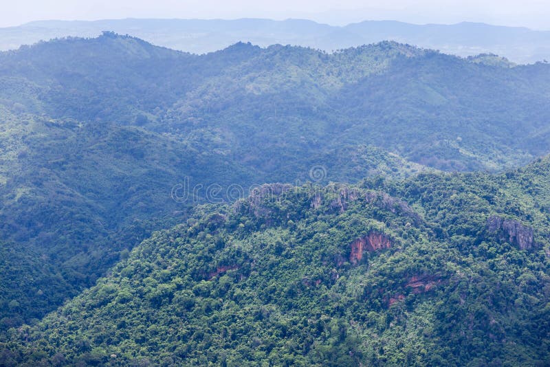 High Angle Viewpoint Over Rainforest Mountains Stock Photo - Image of ...