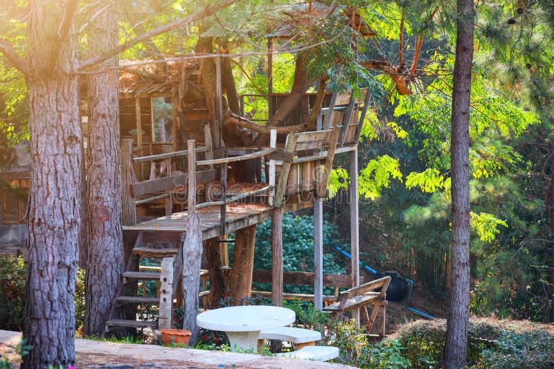 High Angle Vintage Tree House in the Morning Garden Stock Image - Image ...