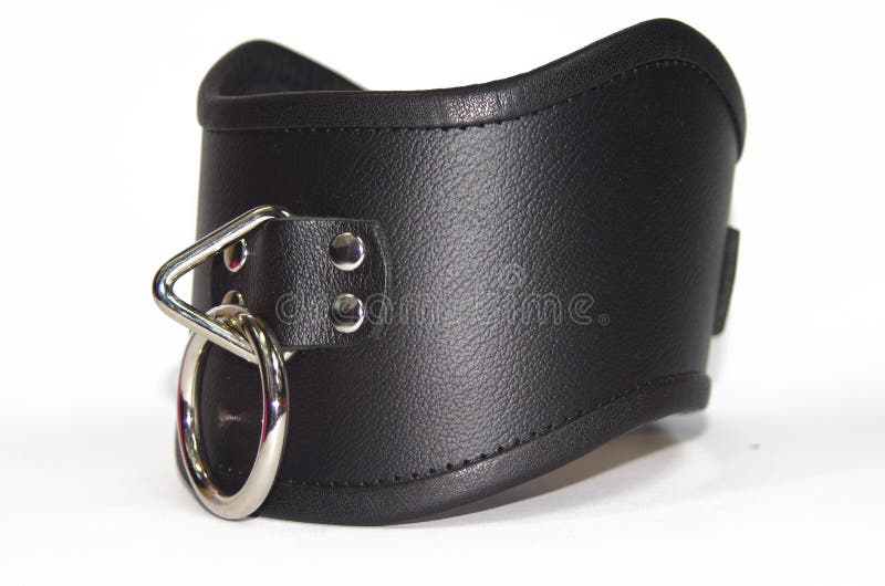 High Back Collar with O Ring Stock Photo - Image of buckle, equipment ...