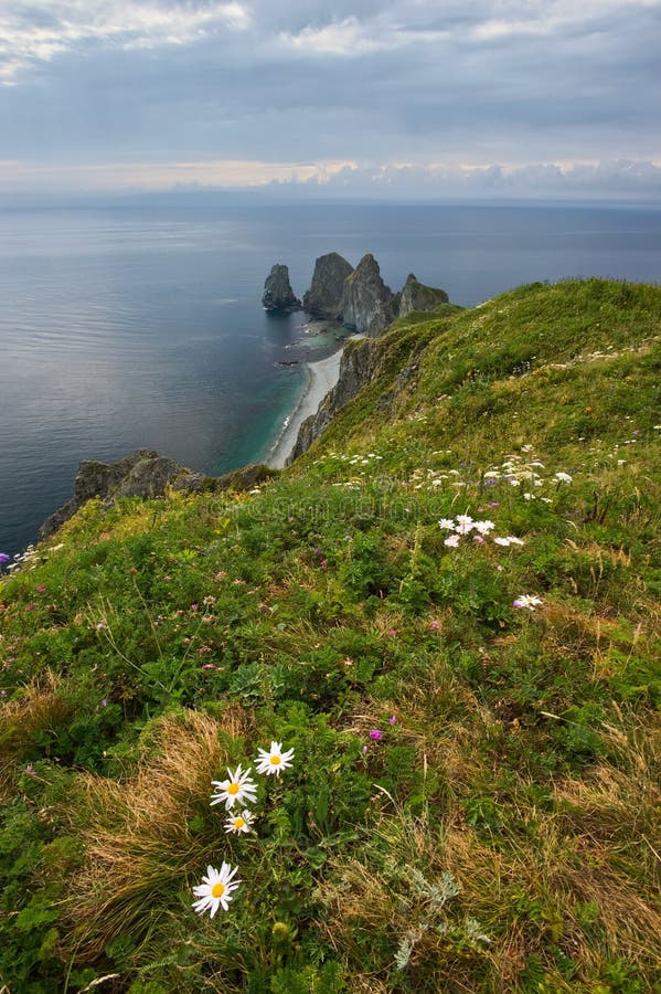 On the high bank. stock photo. Image of season, outdoor - 24368994