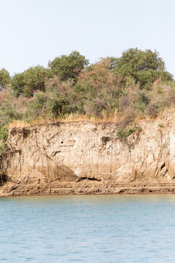 High bank on the river . stock photo. Image of nature - 100546620