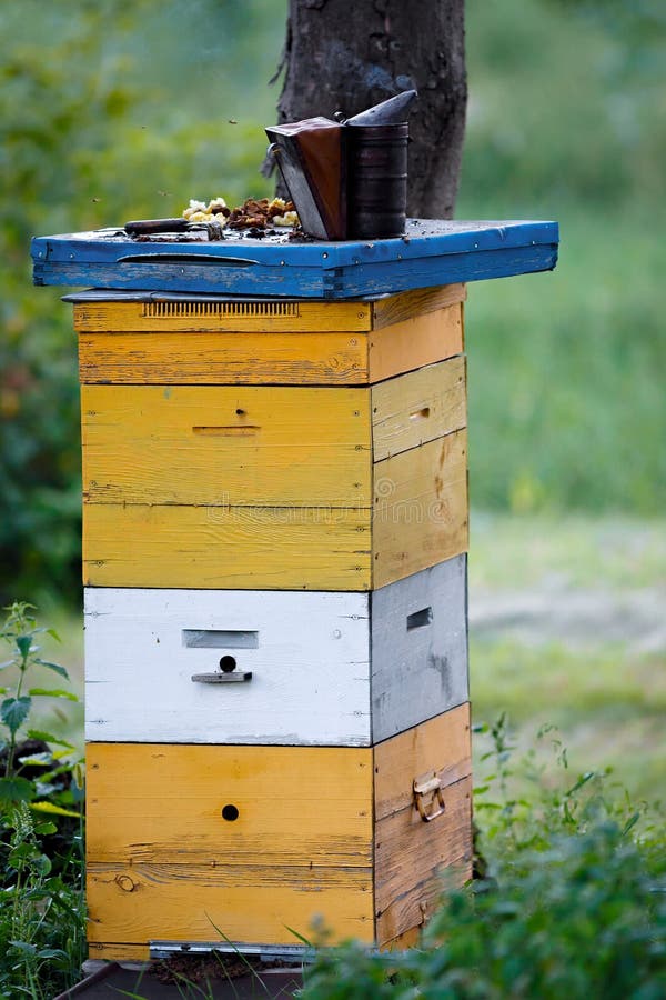 High bee hive in apiary stock photo. Image of outdoors - 61120692