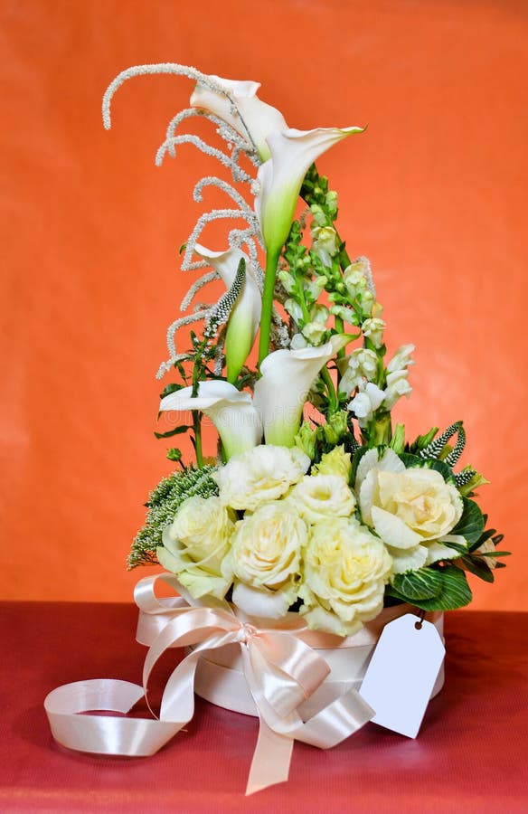 High Bouquet of White Roses in a Box, Tied with a Ribbon, with a Stock ...