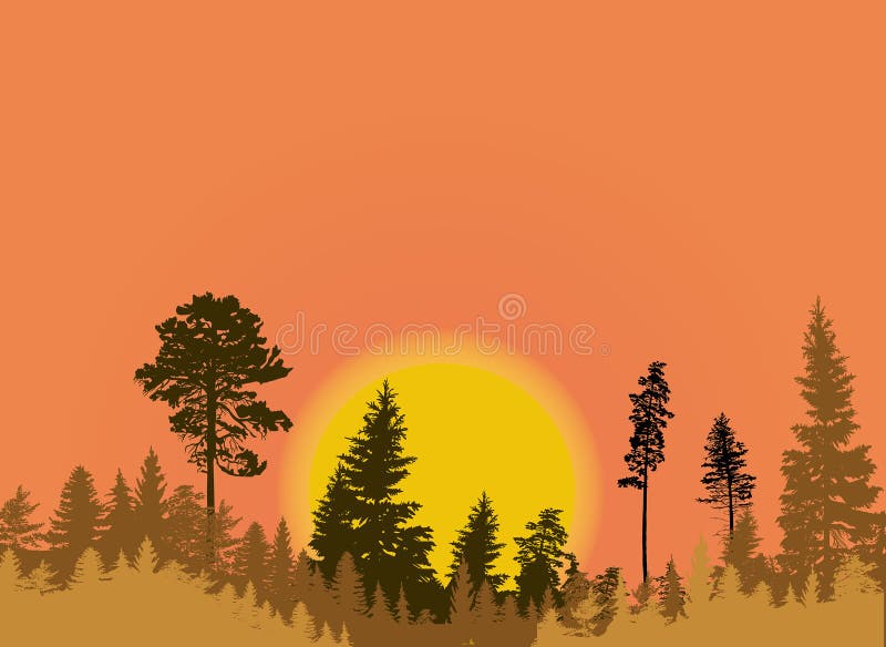High Brown Tree in Forest at Yellow Sunset Stock Vector - Illustration ...