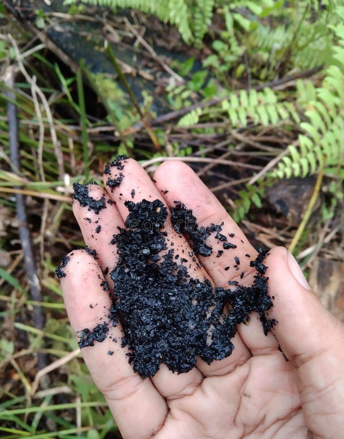 High-cal coal from nature stock photo. Image of soil - 264063916