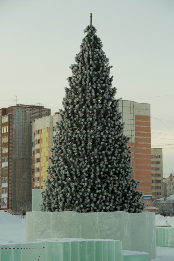 High Christmas Tree in the Ice Town Editorial Stock Photo - Image of ...
