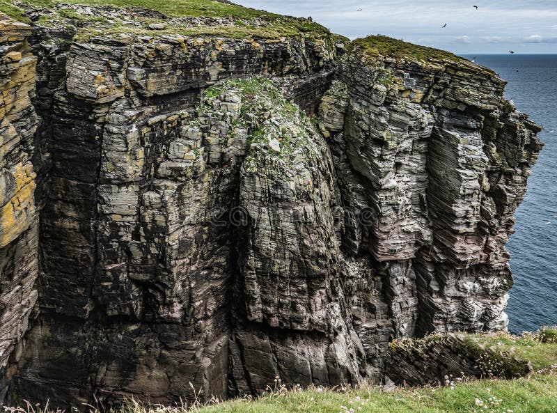 Isle of Noss stock photo. Image of bonxie, adventure - 73607974