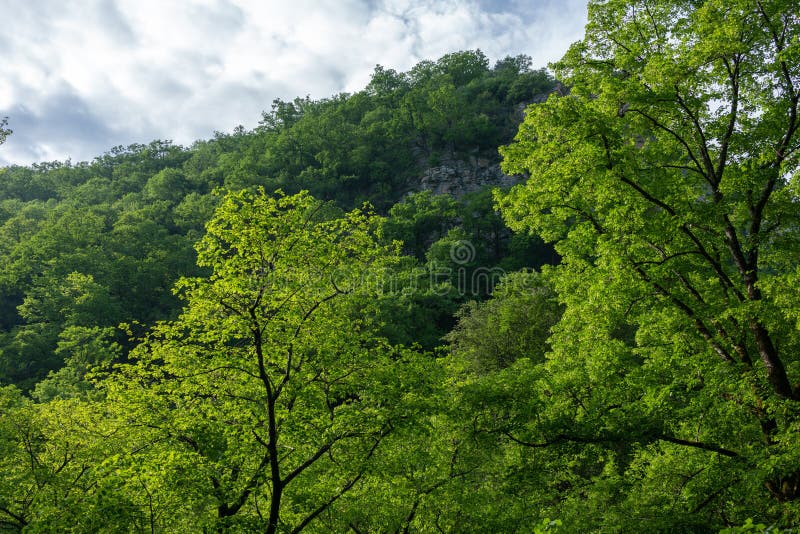 High Cliffs with a Thick Green Forest on the Slopes Stock Photo - Image ...
