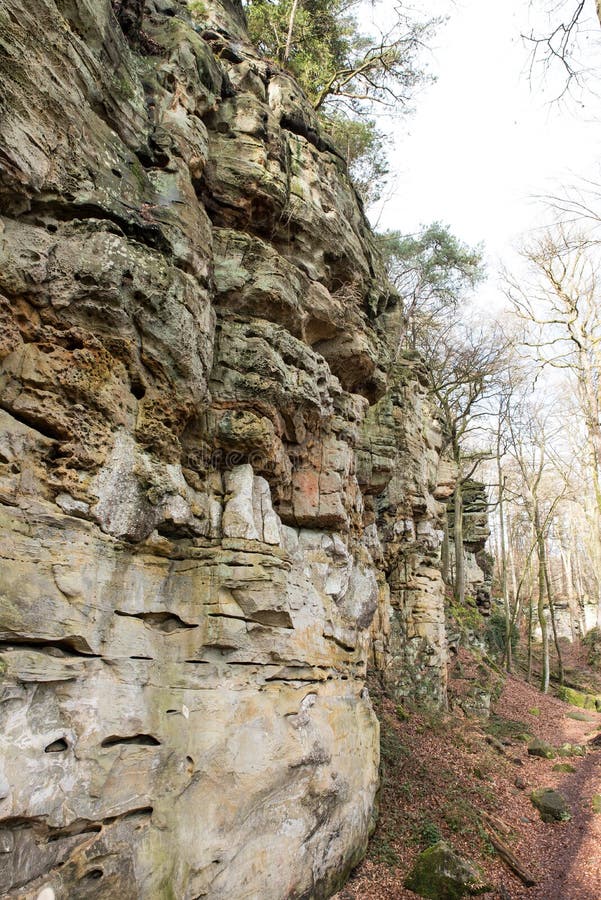 High Cliffs in Winter Forest Stock Image - Image of outdoor, scenery ...