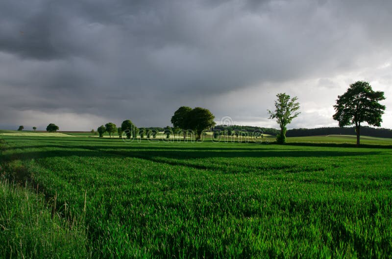 High Contrast Green Agricultural Area Stock Photo - Image of summer ...