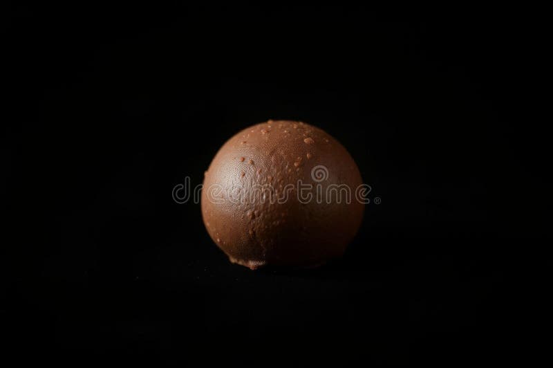 Elegant Chocolate Truffle Delight Stock Illustration - Illustration of ...