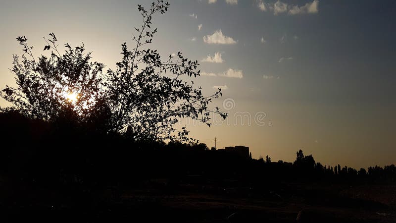 High Contrast the Tree and the Sky Stock Image - Image of horizontal ...