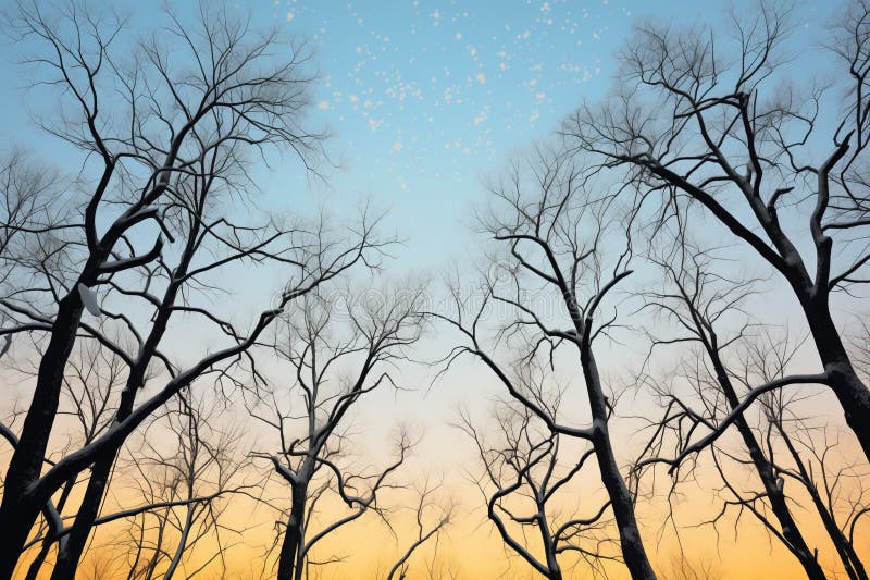 High-contrast Trees Against Snowy Twilight Sky Stock Illustration ...