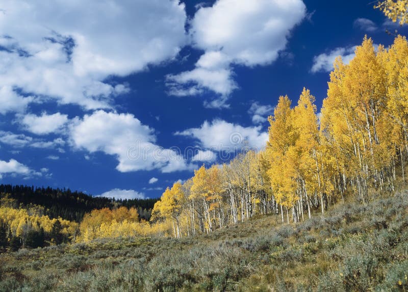 Fish Lake fall colors 3 stock photo. Image of national - 3394110