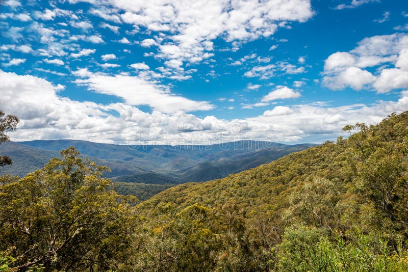 High Country, Foresty Valley Stock Image - Image of country, mountains ...