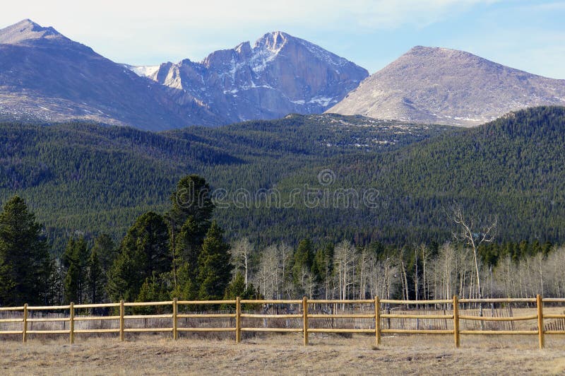 High country Long s Peak stock photo. Image of grass - 28053860