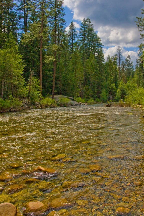 High Country Stream stock photo. Image of forest, river - 13331322