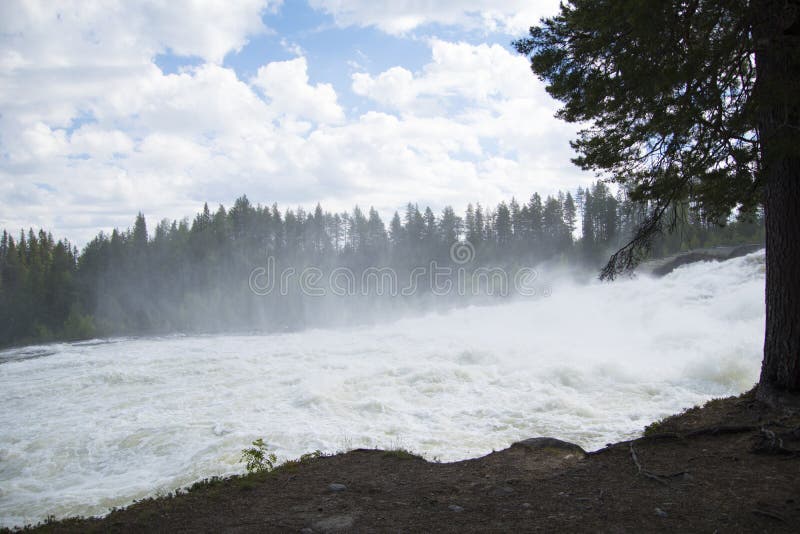 High Current River in the Forest. Stock Image - Image of forest, high ...