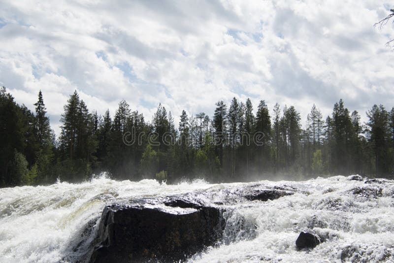 High Current River in the Forest. Stock Image - Image of northern ...