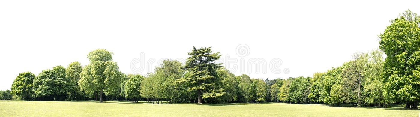 9,618 Treeline Stock Photos - Free & Royalty-Free Stock Photos from ...