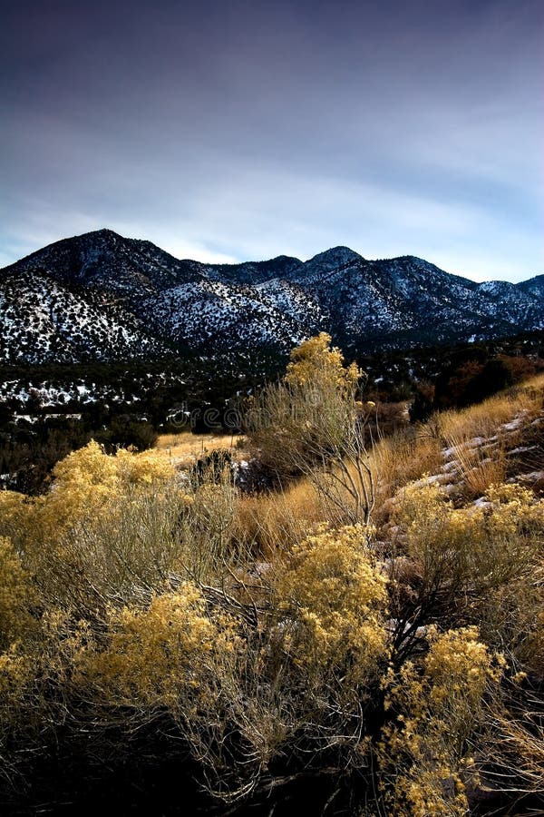 High Desert stock photo. Image of high, sage, hills, central - 15202742