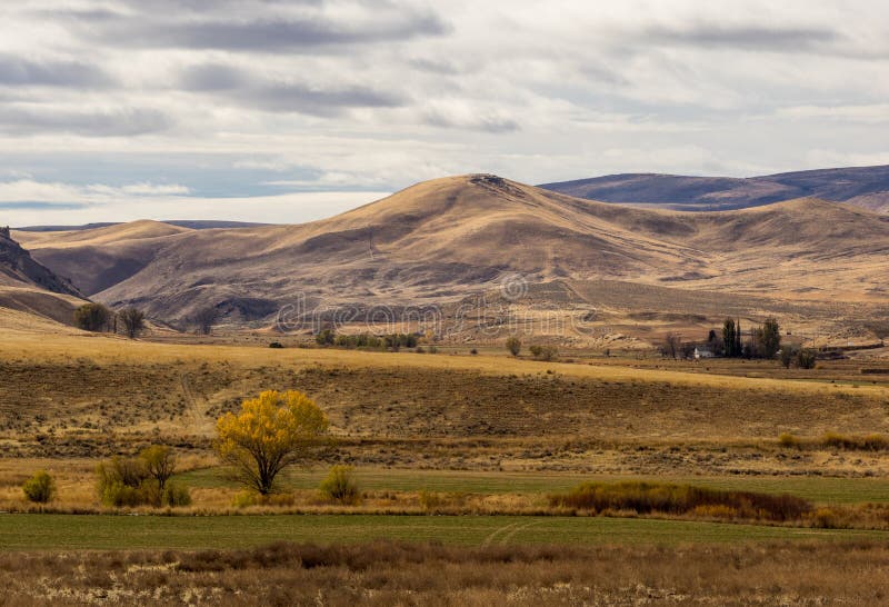 High desert landscape stock photo. Image of eastern - 106414710