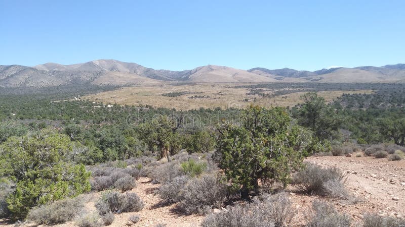 High desert stock photo. Image of desert, landscape - 127647416