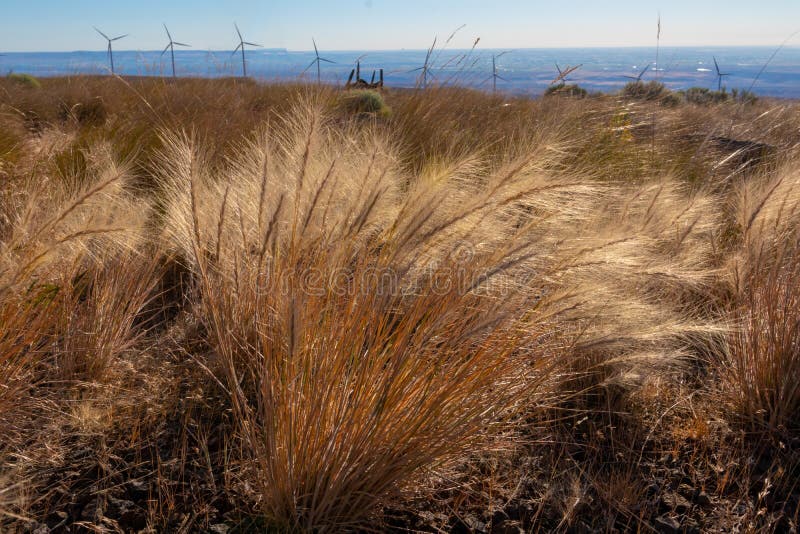 High Desert Power Turbine Wind Farm Stock Image - Image of carbon ...