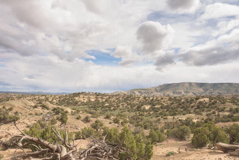 High Desert Scenery in Springtime Stock Image - Image of light, juniper ...