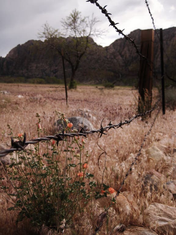 The High Desert stock image. Image of barbwire, desert - 30858173