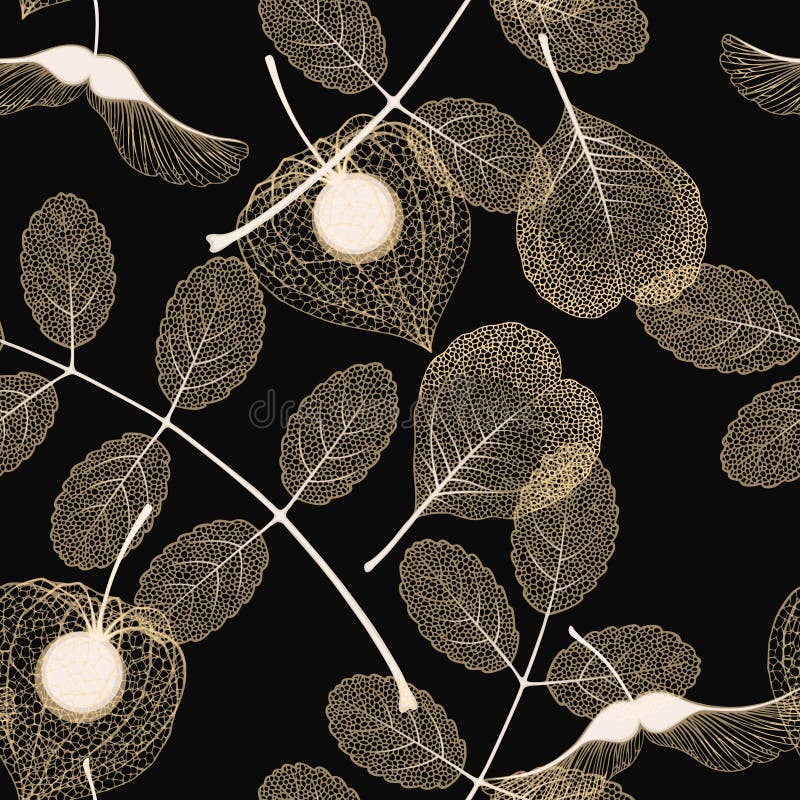 High Detail Skeleton Leaf Vector Maple Stock Illustrations – 8 High ...