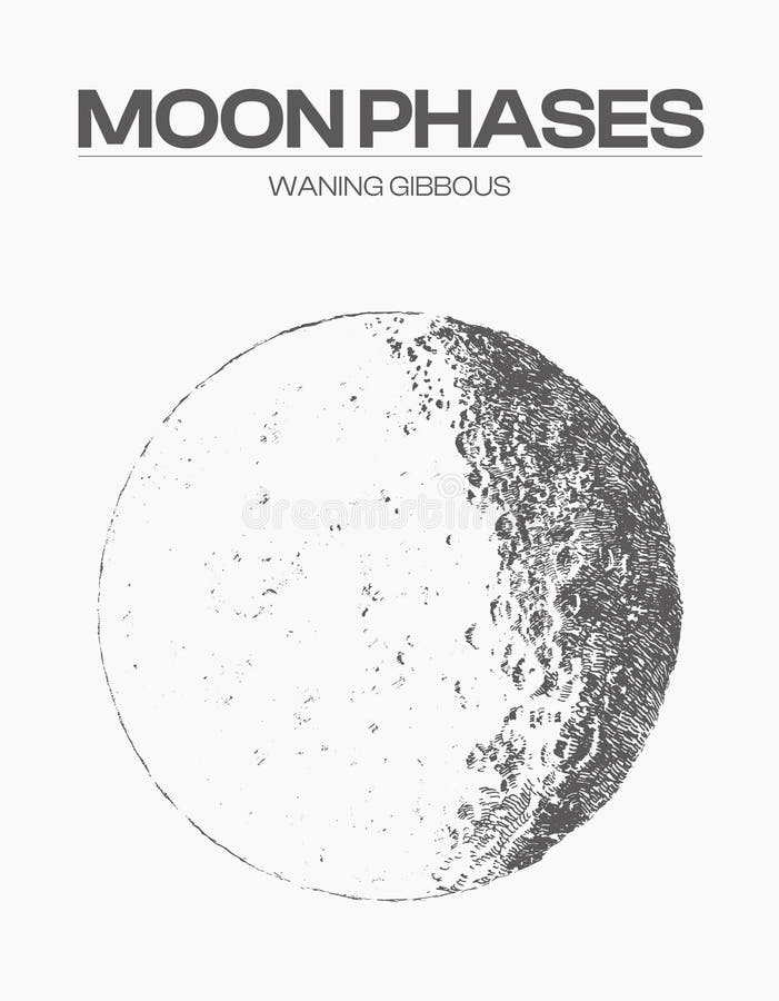 High Detail Sketch of Moon Phase, Cycle, Stage Stock Vector ...