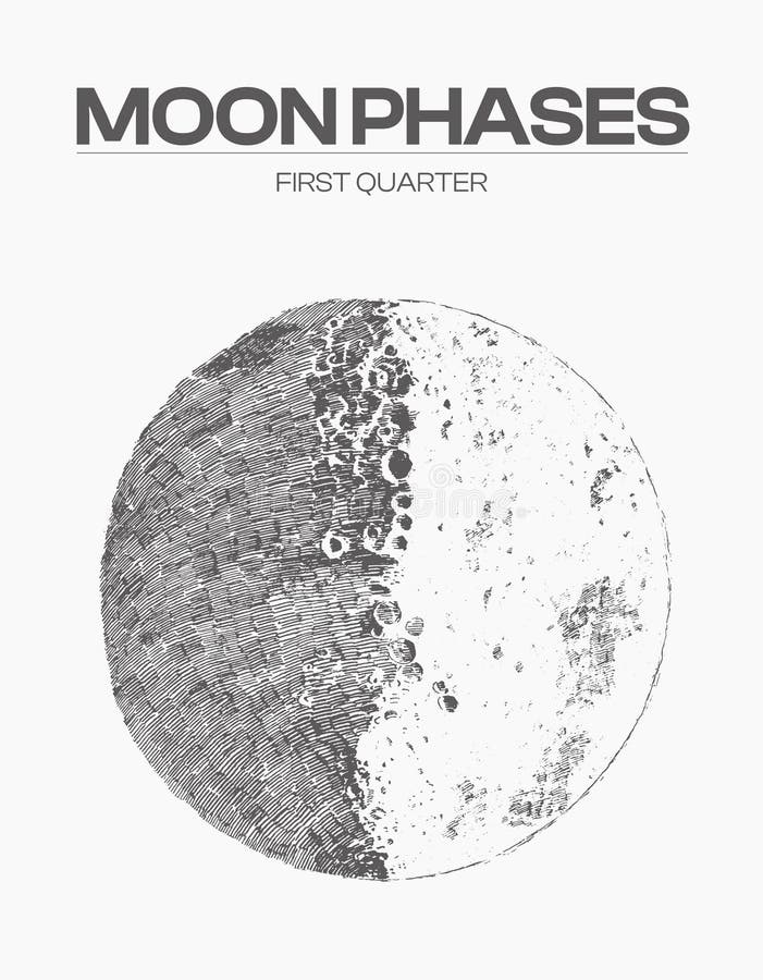 High Detail Sketch of Moon Phase, Cycle, Stage Stock Vector ...