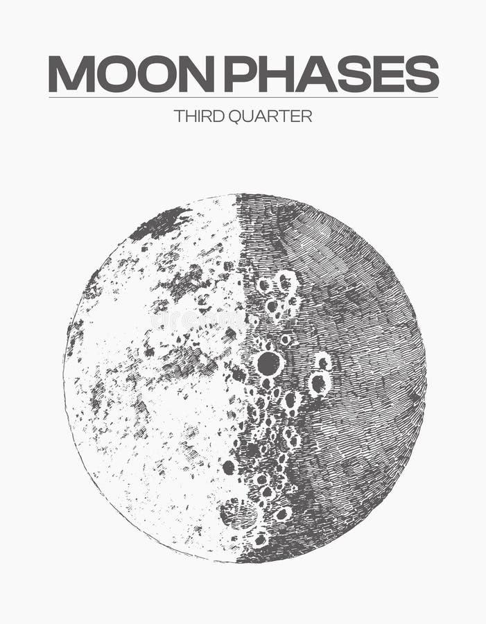 High Detail Sketch of Moon Phase, Cycle, Stage Stock Vector ...