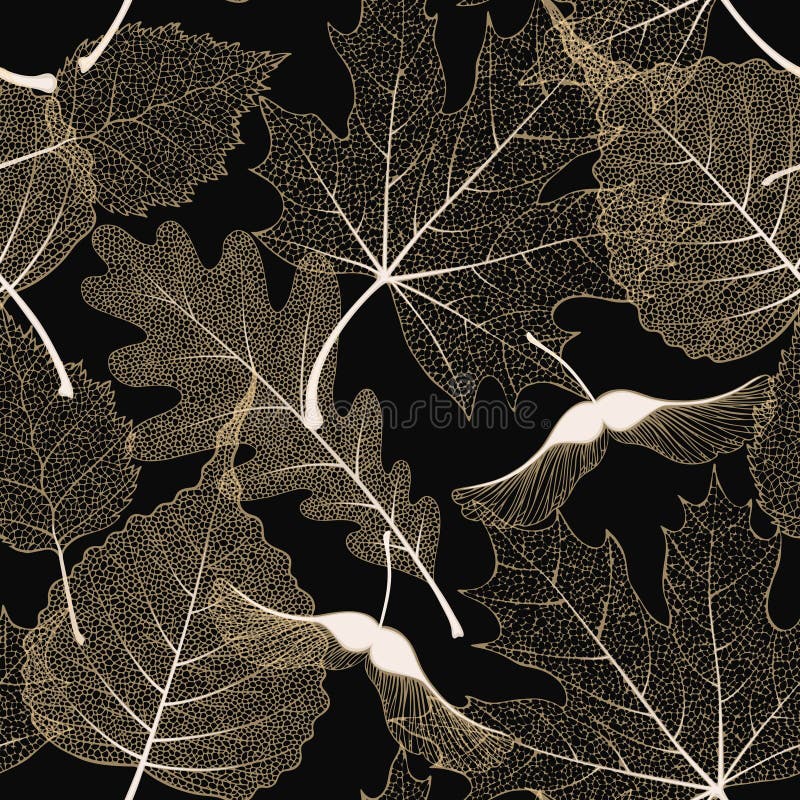 High Detail Skeleton Leaf Vector Maple Stock Illustrations – 8 High ...