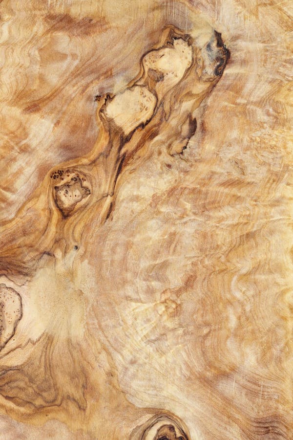 High Detailed Texture of Olive Wood Board Stock Photo - Image of ...