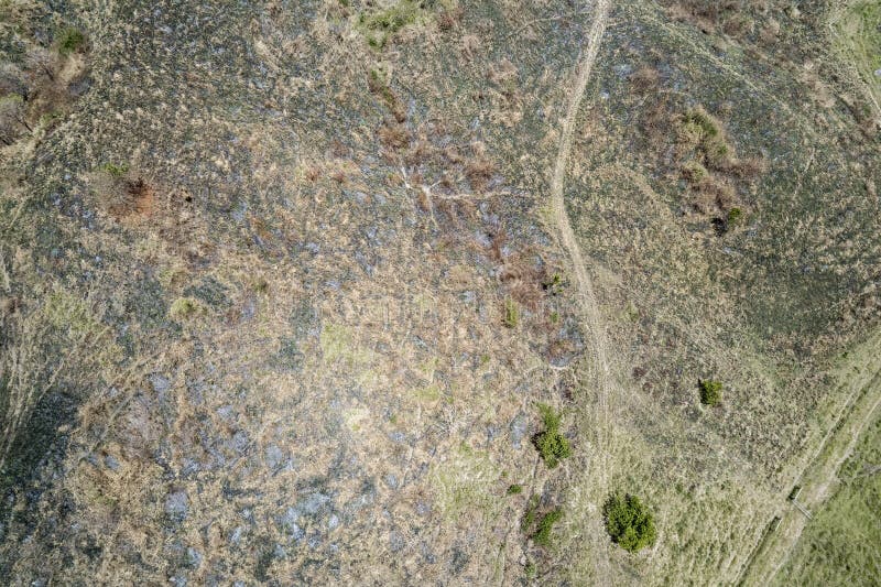 Drone Aerial of Trees Casting Shadows Stock Photo - Image of ground ...