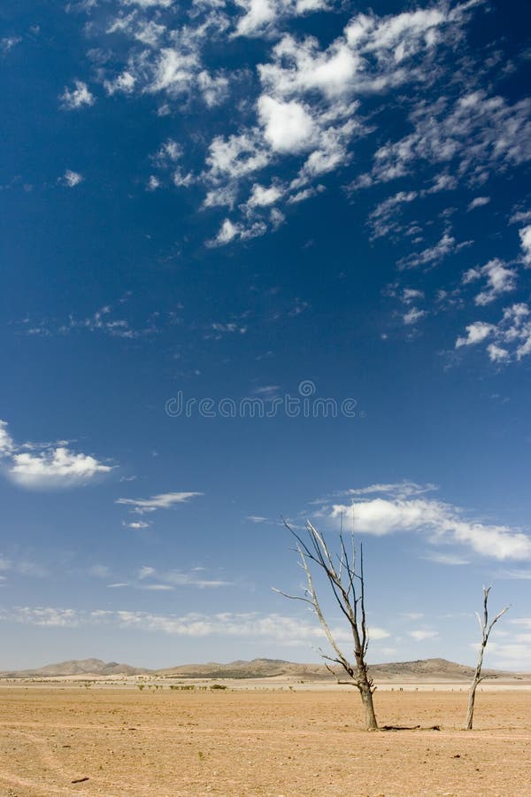 High and Dry stock photo. Image of care, country, postcard - 144628