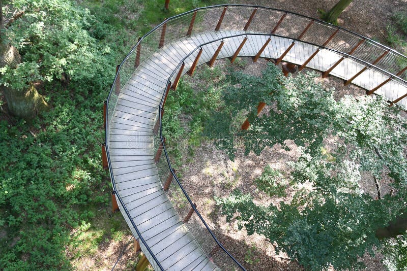High Elevated Handrailed Walkway in Forest Stock Photo - Image of ...